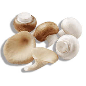 COMMANDER EN LIGNE - Champicarde